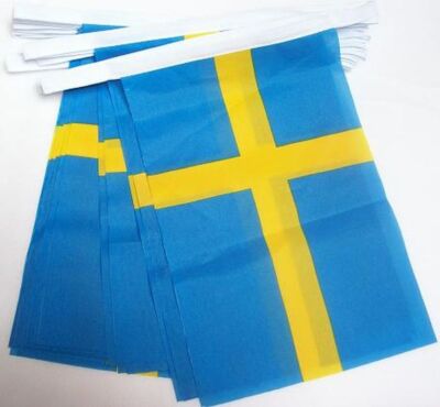 SWEDEN 4 meters BUNTING FLAG 20 flags 6'' x 4'' - SWEDISH STRING flags ...