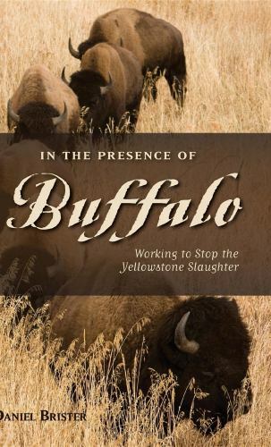 In the Presence of Buffalo: Working to Stop the Yellowstone Slaughter ...