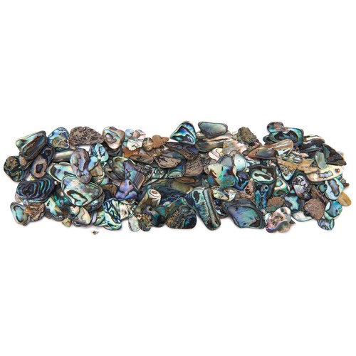 Easy Inlay Paua Abalone Inlay Material - Large - 2 oz. 711841834579 | eBay