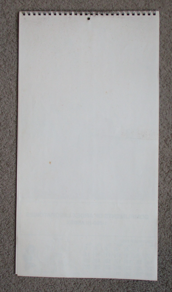 1997 MERMAIDS SWIMSUIT PINUP GIRLS 9"x17" CALENDAR Advertising | eBay