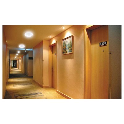 eSenLite Invisible Motion Activated Ceiling/Wall SMART LED Light in ...