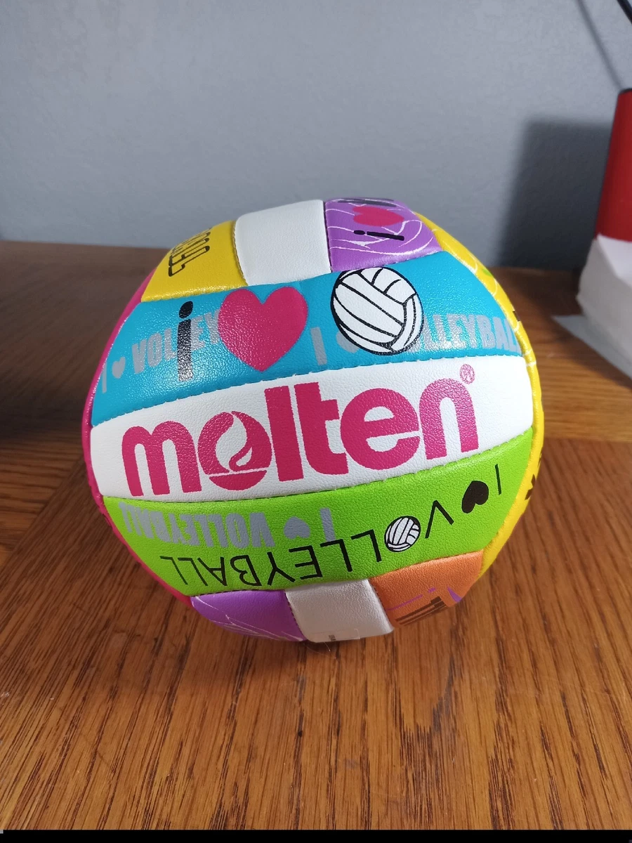 Neon Volleyball Ball