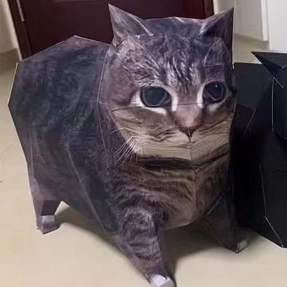 Oiiao Cat Huh 3D Folding Paper Cat Kitten Paper Model DIY Paper | eBay ...
