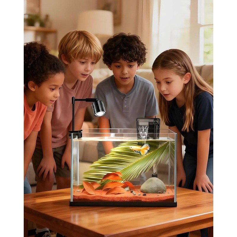 3 Gallon Betta Fish Tank Nano Glass Aquarium W/ LED Light Filter ...