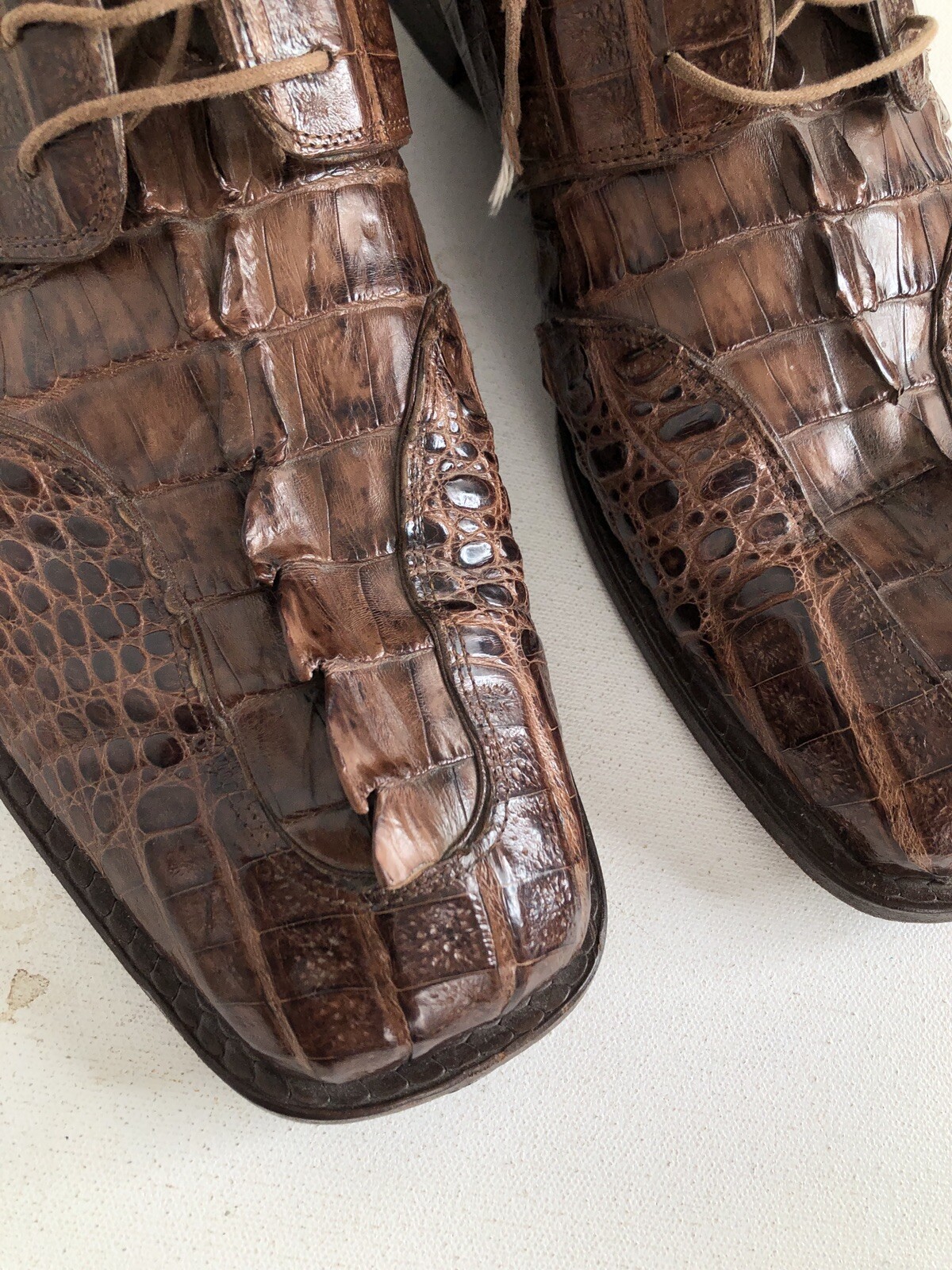 MAURI - Made in Italy Exotic ALLIGATOR / CROCODILE Me… - Gem