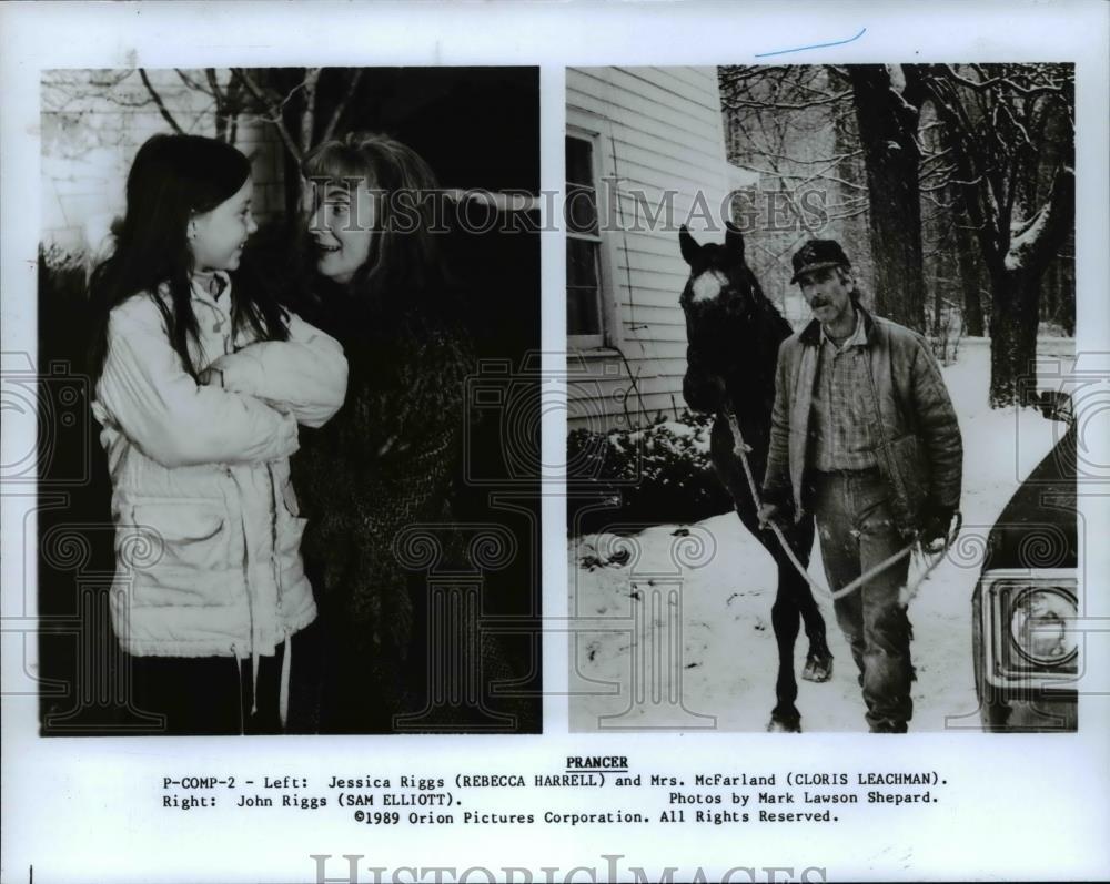 Rebecca Harrell Designs