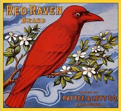 Red Raven Orange Riverside California Citrus Fruit Crate Bird Label Art ...