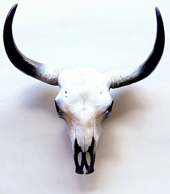 Cow Skull, Painted Cow Skull, Cow Skull Wall Decor, Bull Skull, | eBay ...