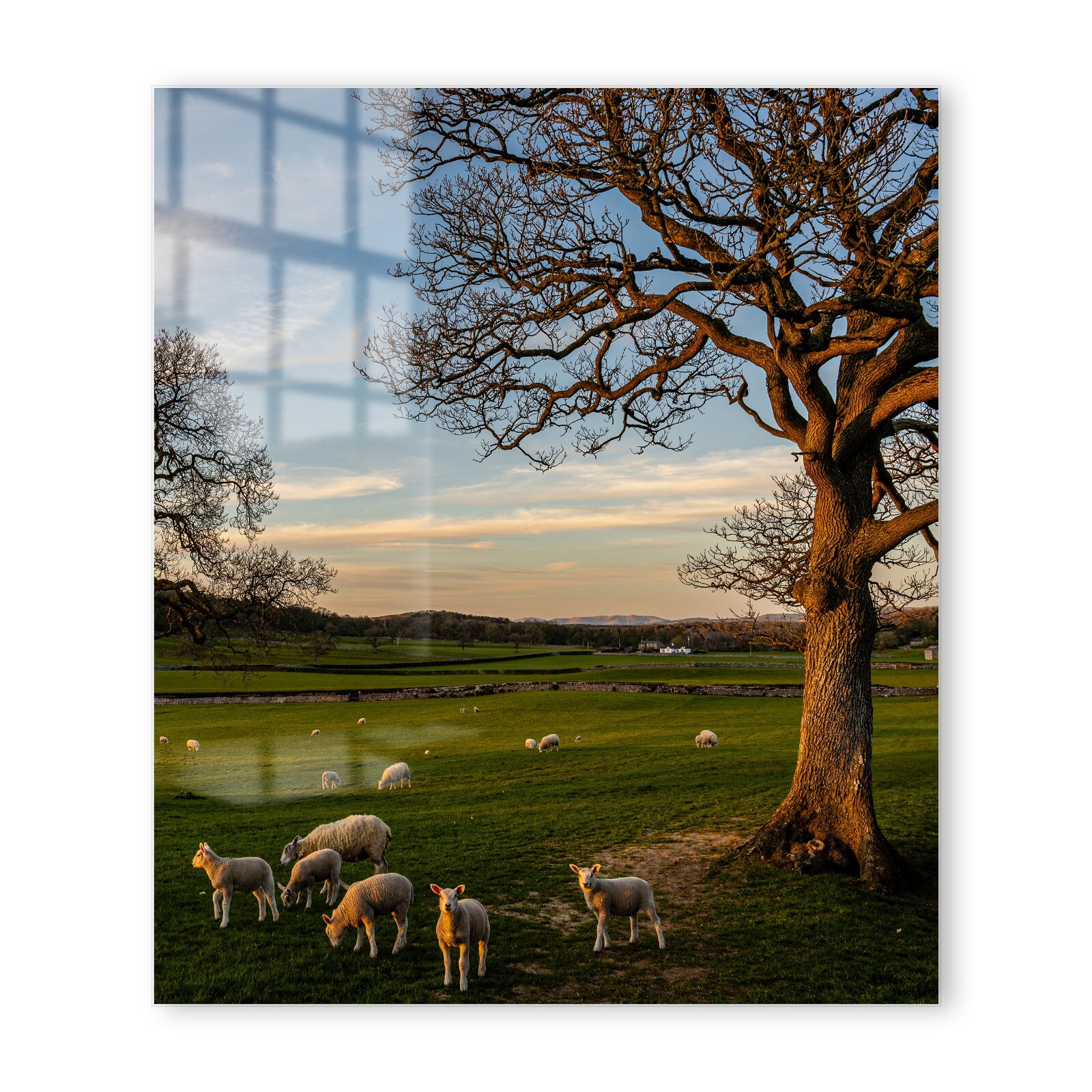 Glass Splashback Kitchen Cooker Panel ANY SIZE Tree Farm Field Baby ...