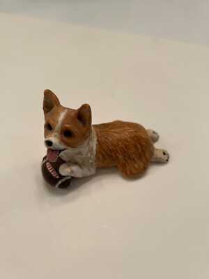 DOG WELSH CORGI with FOOTBALL | eBay