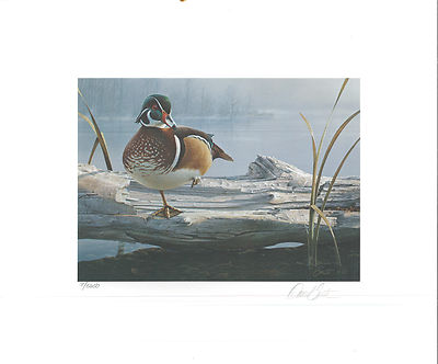 TEXAS #11 1991 STATE DUCK STAMP PRINT WOOD DUCKS by Daniel Smith 2 ...