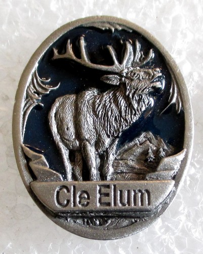 City of Cle Elum, Washington Tourist Travel Souvenir Collector Pin ...