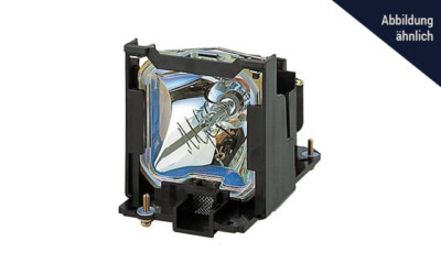 Nec NP19LP Original Ersatzlampe für U250X, U260W | eBay.de