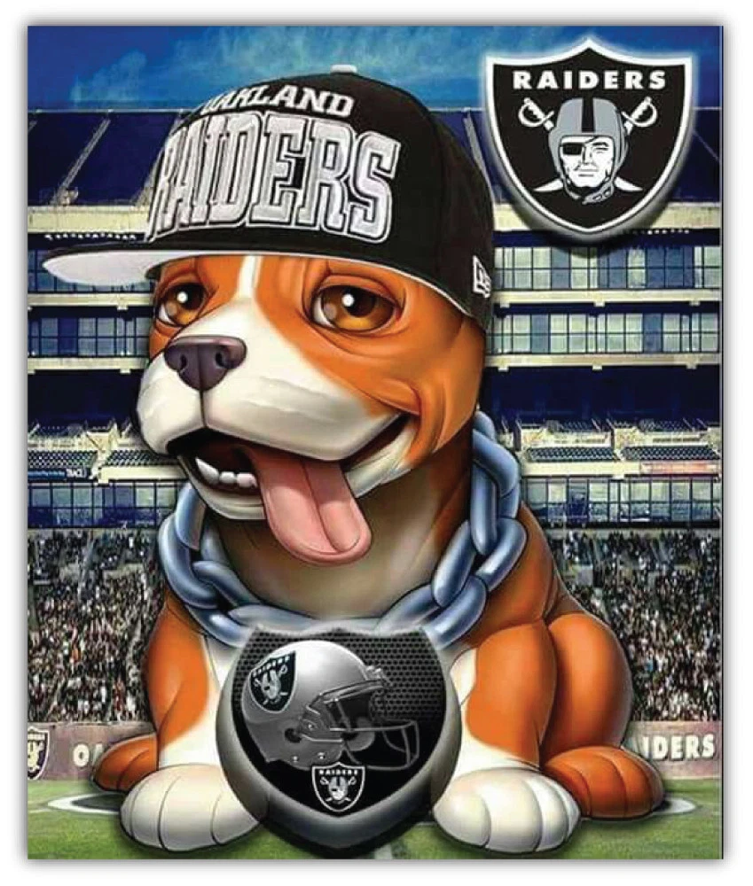 Raiders Nation Wallpaper