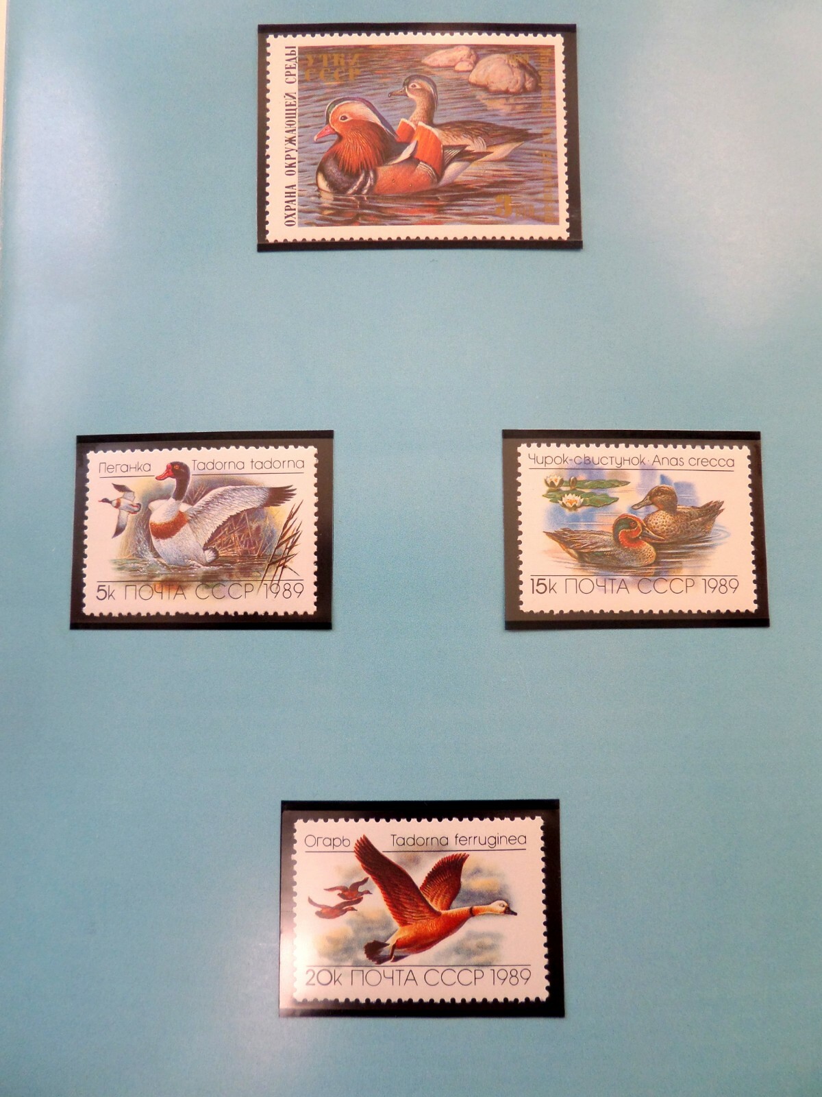 1989 FIRST ANNUAL USSR DUCK STAMPS MINT COLLECTION NEW IN NICE FOLDER ...