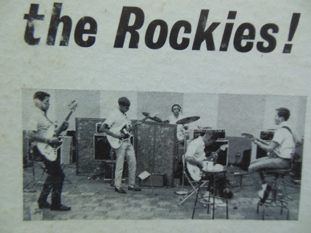The Astronauts Surf Band