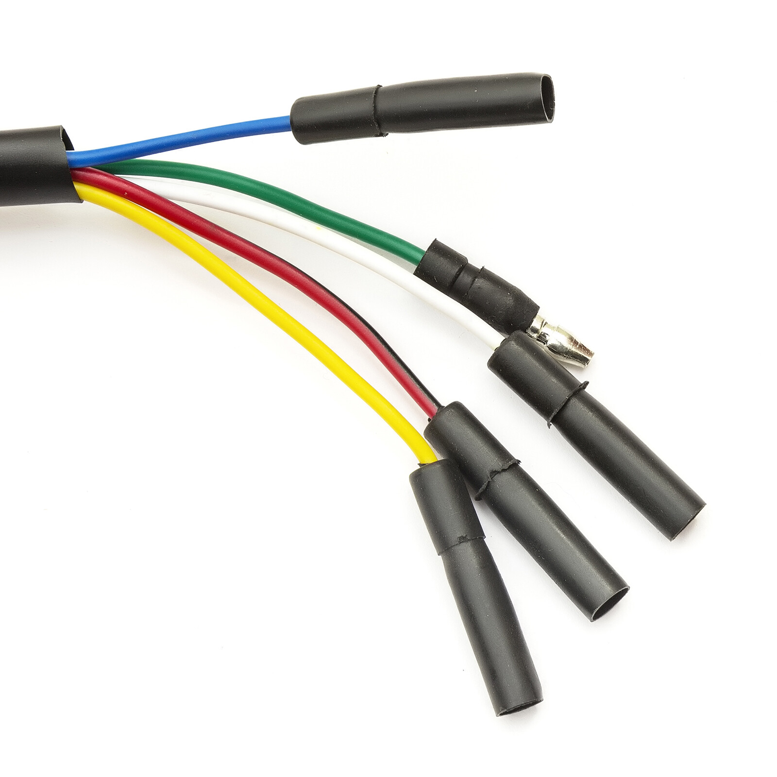 Stator Magneto 6 Pole 5 Wire Pitbike YX140 YX150 YX160 Dirtbike Runs ...