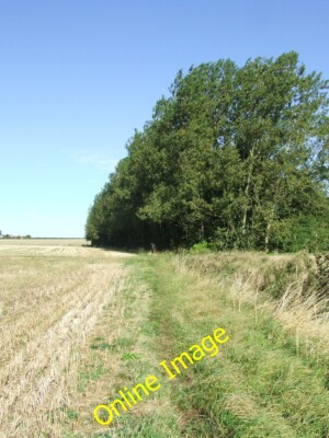 Photo 6x4 Small Copse Haverhill/TL6645 Small copse near to Steeple ...