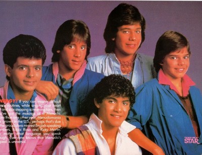 Menudo Tiger Beat Star magazine pinup Ricky Martin Robby Rosa picture ...