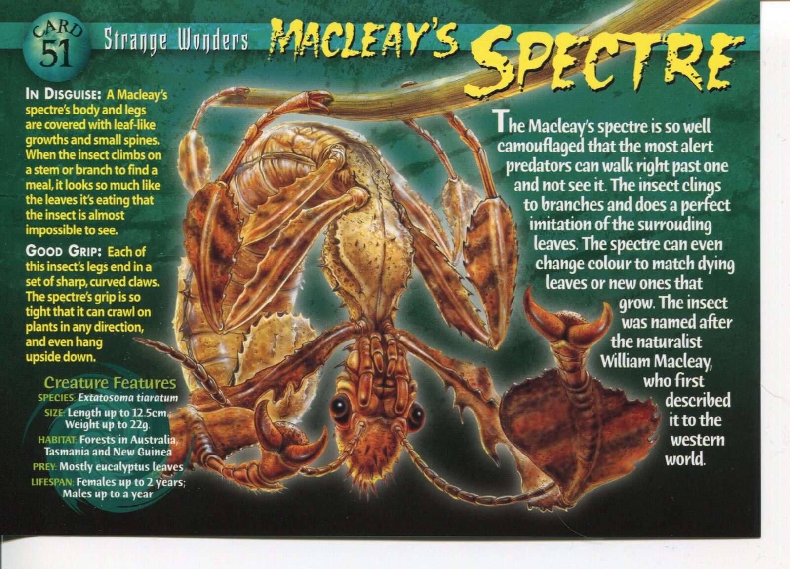 Weird N’ Wild Creatures Strange Wonders Card 51 # Macleay's Spectre ...
