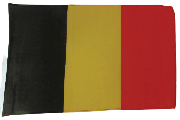 Courtesy Flag 1.5ft x 1ft Sleeved Polyester 180+ designs FREE P&P | eBay UK