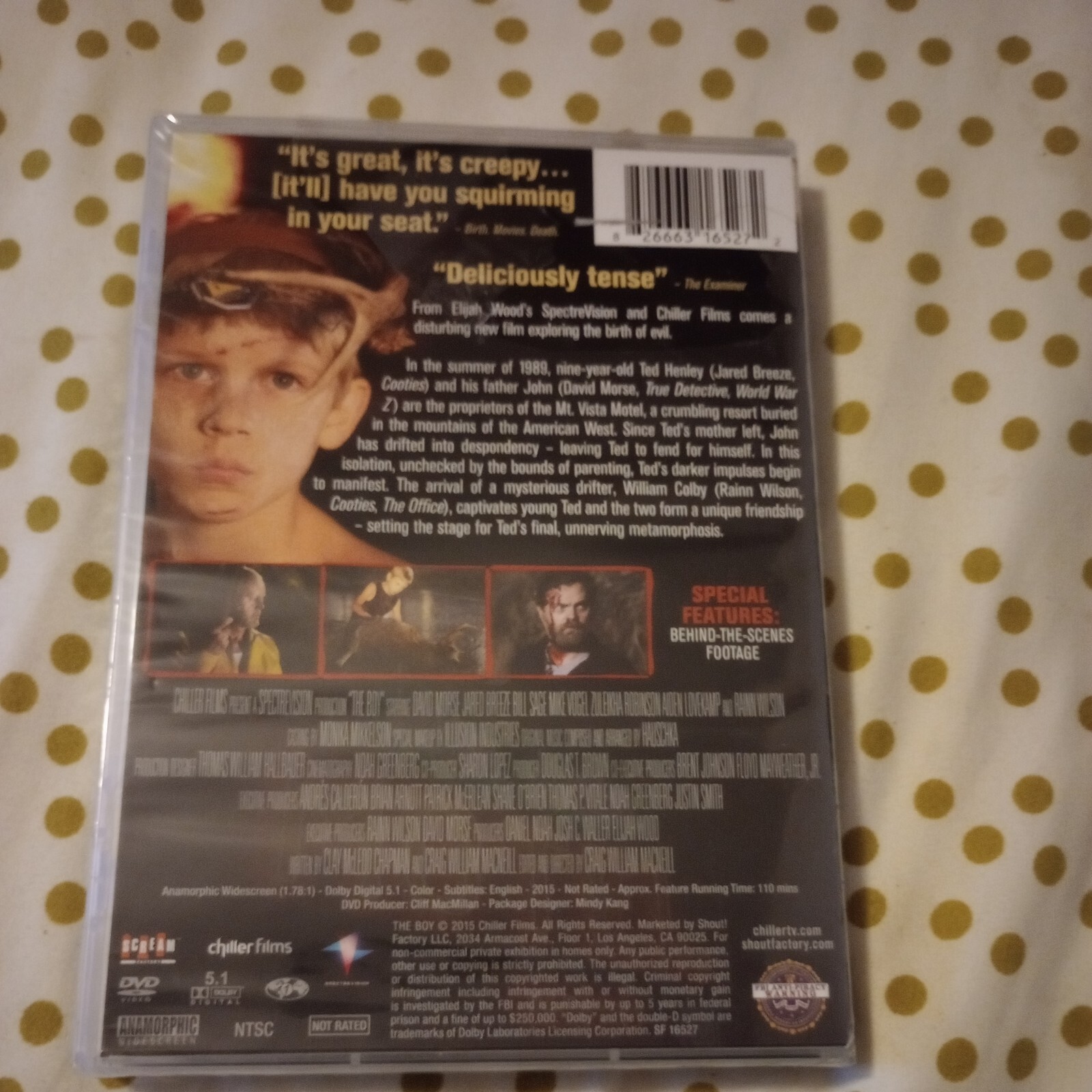 The Boy (DVD, 2015) for sale online | eBay