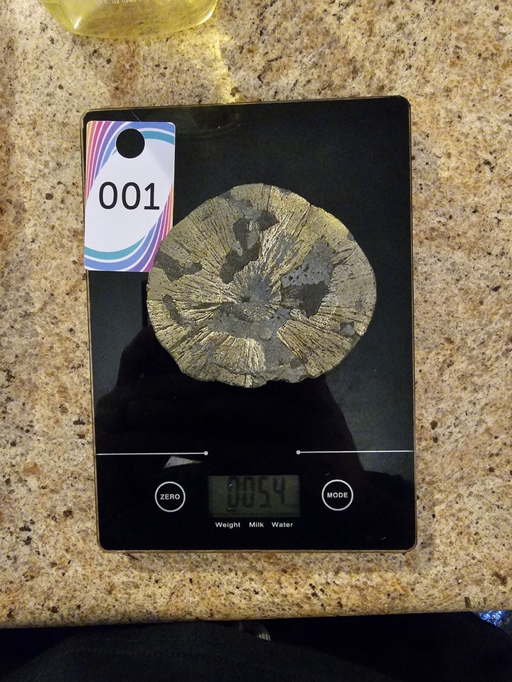 pyrite sun dollar | eBay