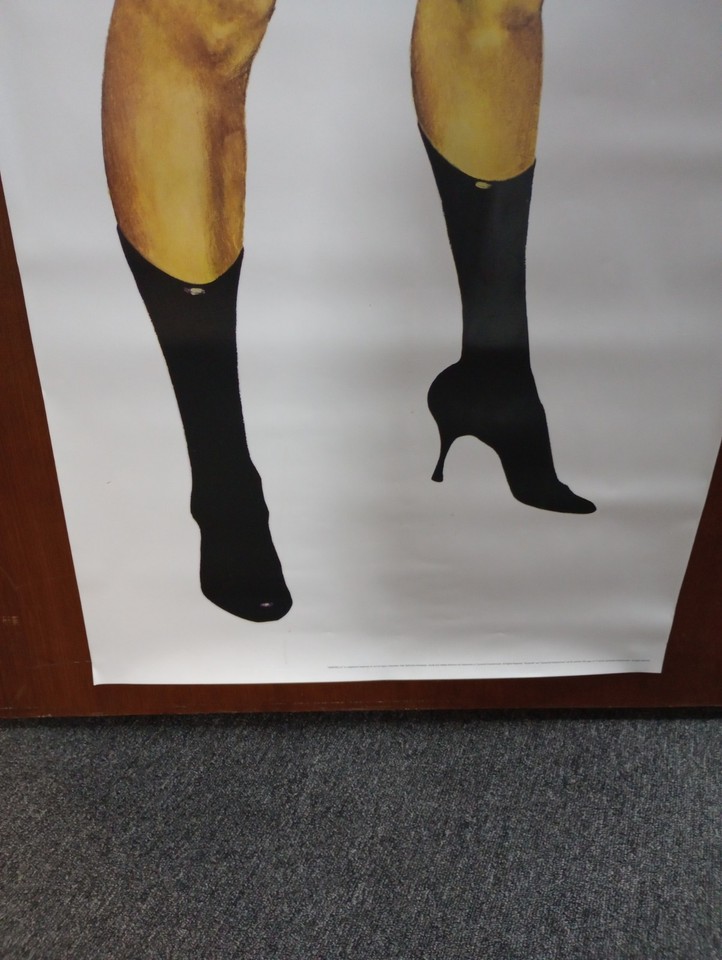 VAMPIRELLA Limited Edition 24" X 72" DOOR POSTER art by Jose Gonzalez ...