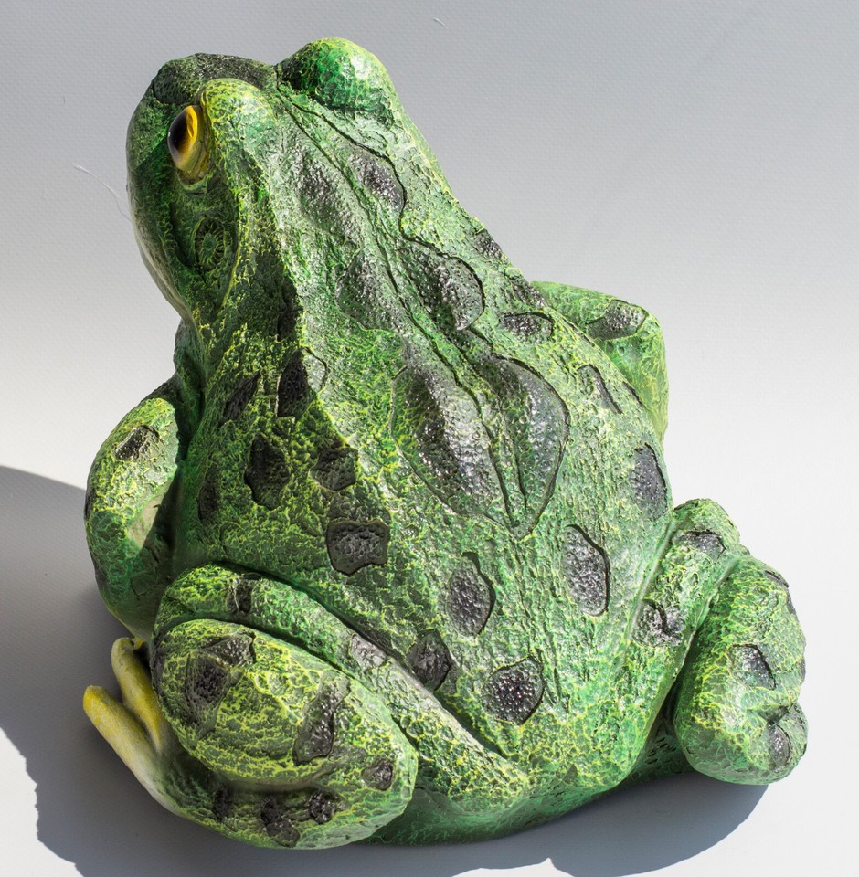Coin Bank Frog Toad Figurine Money Piggy Box Adult Statue Feng Shui ...