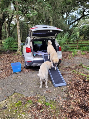 WeatherTech Pet Ramp Non-slip Folding Pet Ramp. Made in USA!! | eBay