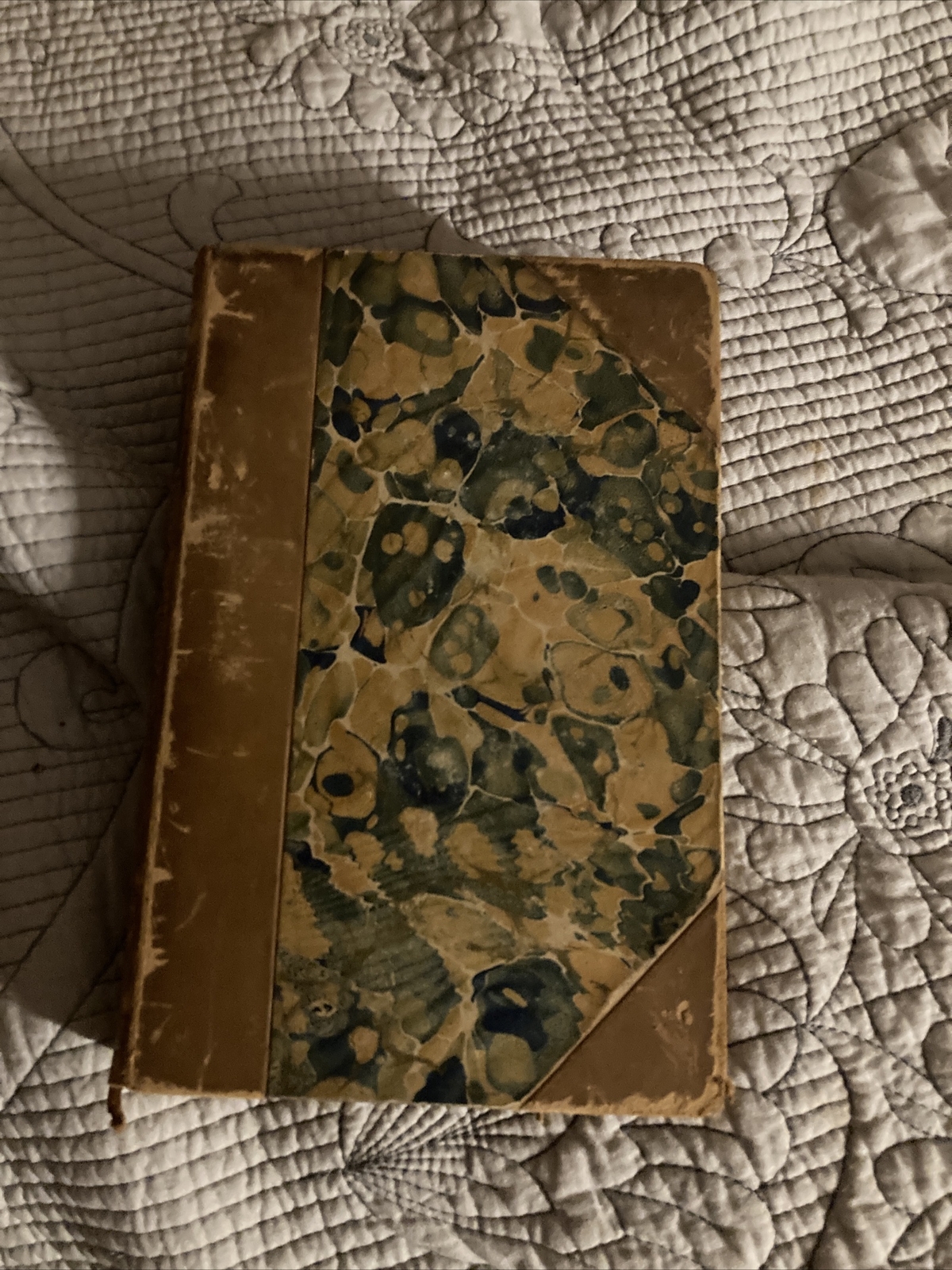 The Poetical Works of Geoffrey Chaucer Leather Bound Thomas Crowell ...