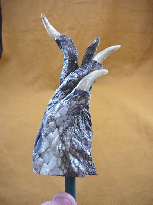 (g627-14) LARGE 4" Gator FOOT Back Scratcher PAW ALLIGATOR ...