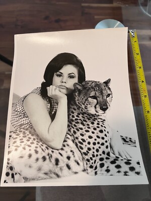 1960s Nancy "Buni" Bacon Modeling Photos VINTAGE - Lot of 5 pics ...