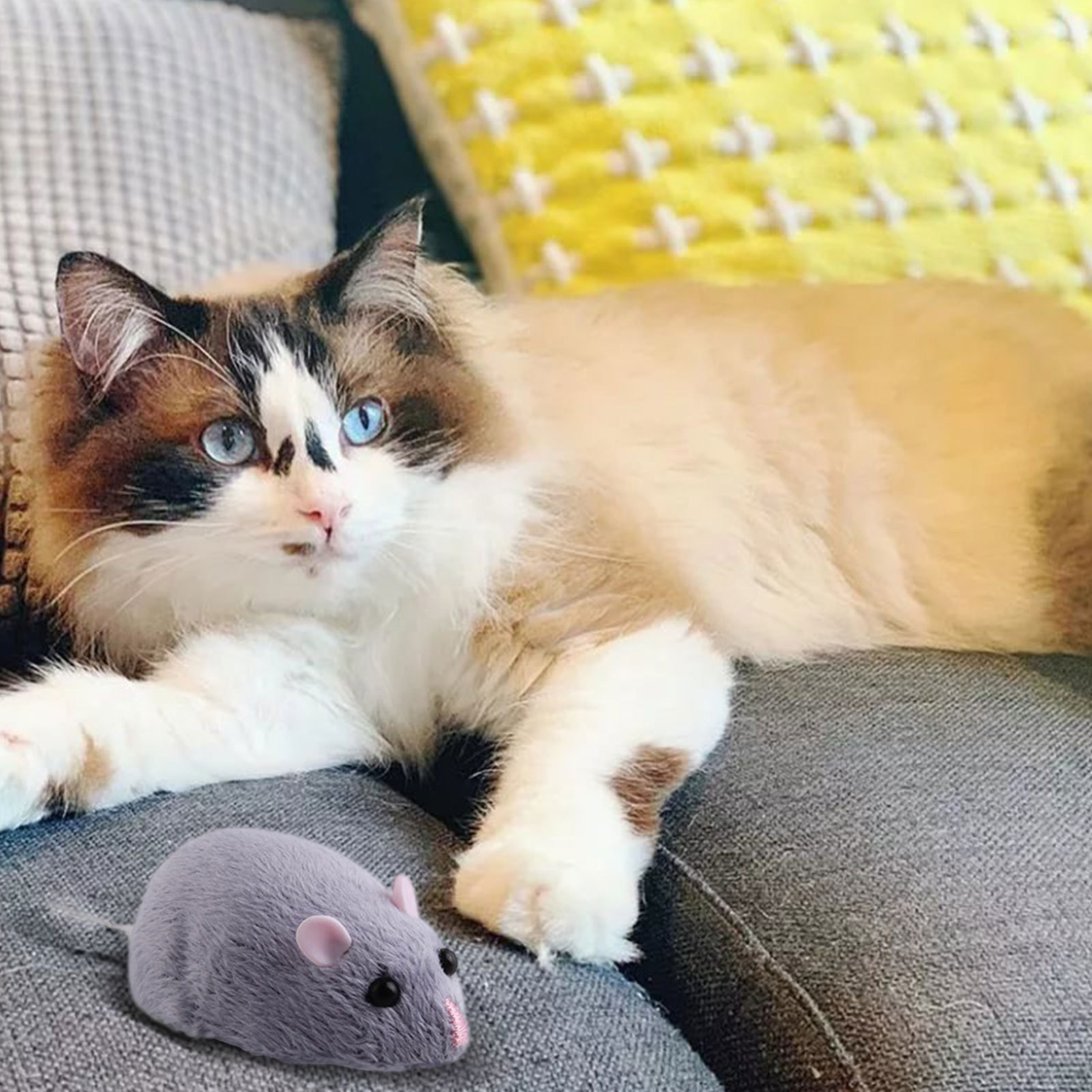 Mouse Robotic Cat Toy Remote Controlled Automatic Interactive Electric ...