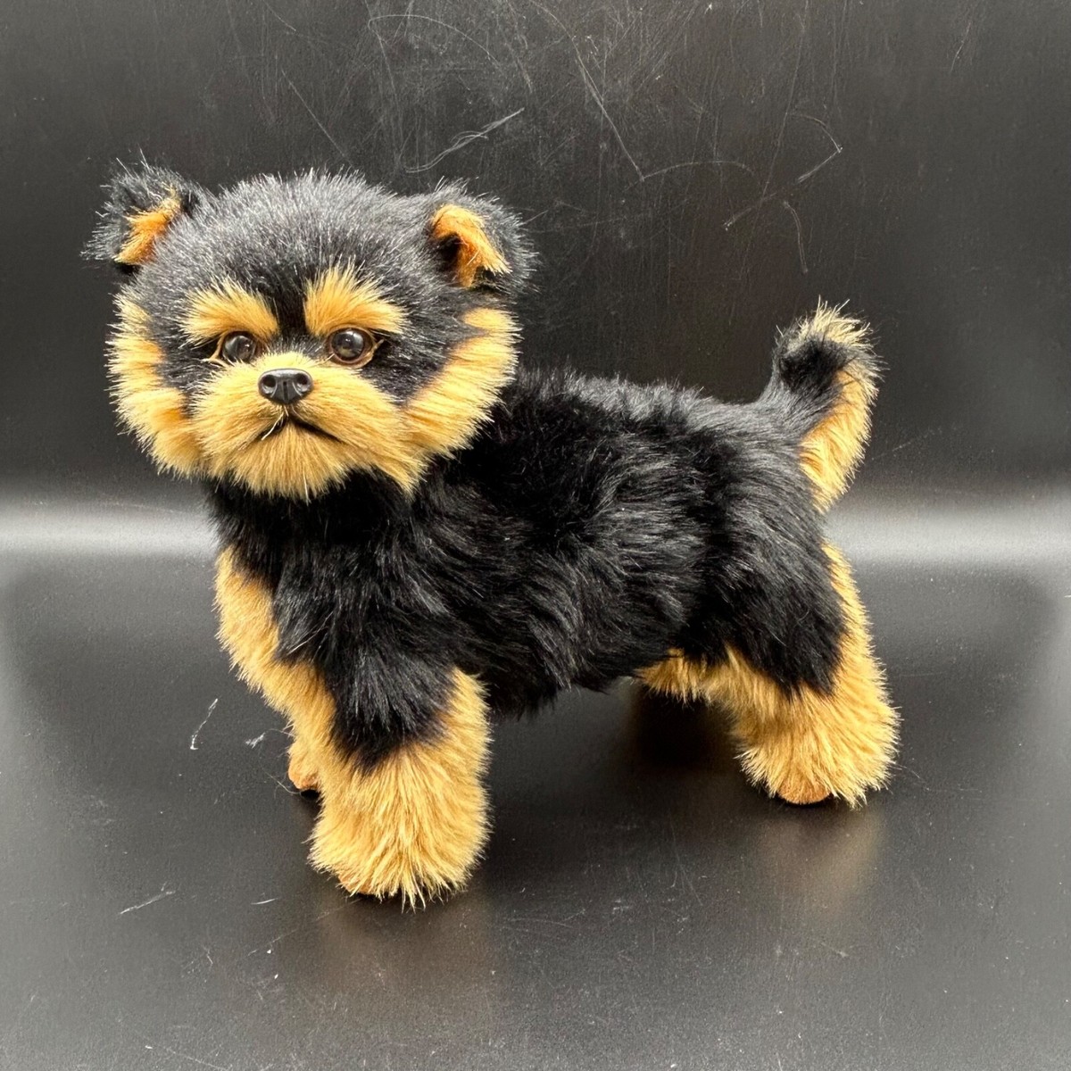 Yorkshire Terrier Toy Dog Breed Guide: Yorkshire Terrier | Pets Best