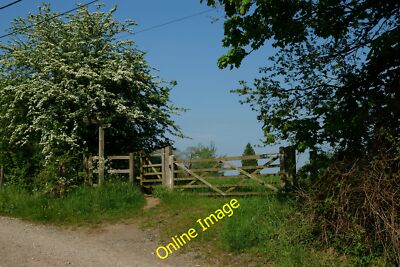 Photo 12x8 The Path at Great Enton, Surrey Culmer The path leads, from ...