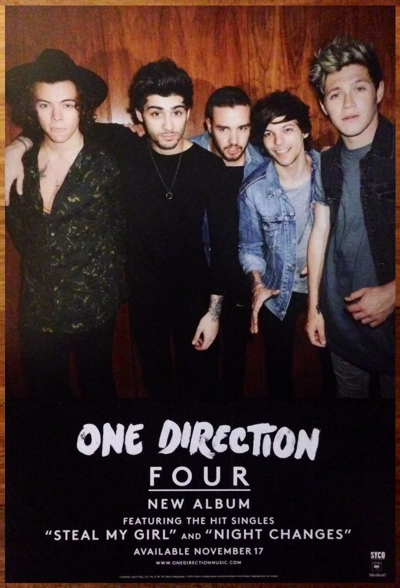 One Direction Concert Poster