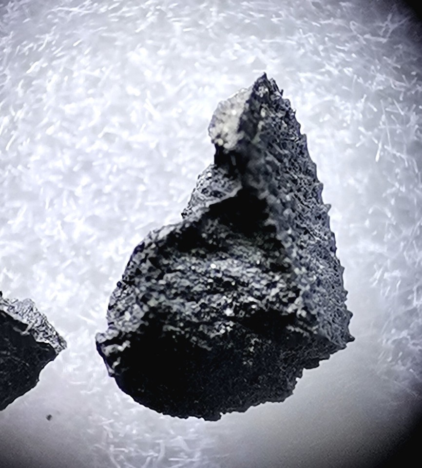 TARDA meteorite fragment, ultra rare C2 ungr. Chondrite | eBay