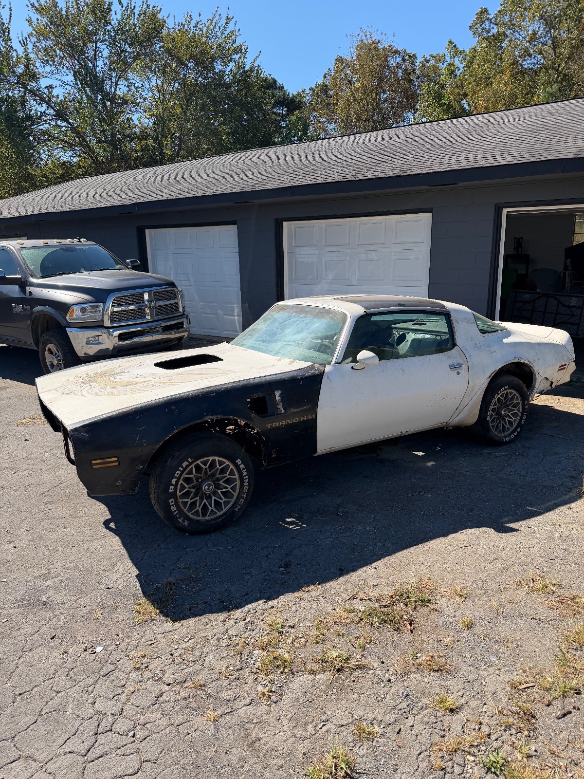 1978 Pontiac Trans Am Car for Sale in Cleveland, TN | TimelessRides.com