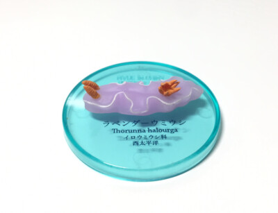 RARE Retired Yujin Thorunna Halourga Nudibranch Sea Slug Figure | eBay