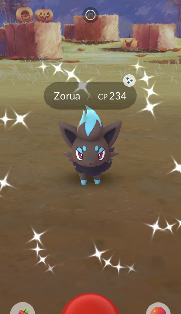 Pokemon Shiny Zorua