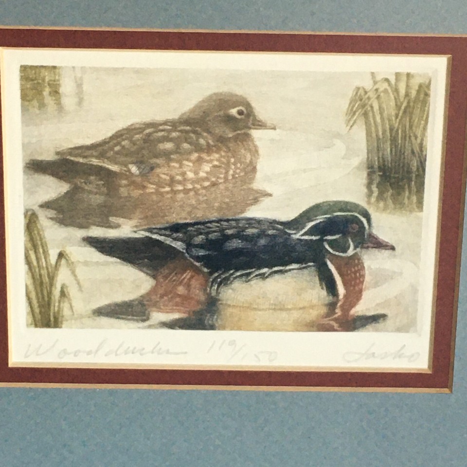 Framed Art Print Wood Ducks Picture Artist Jasco 119/150 | eBay