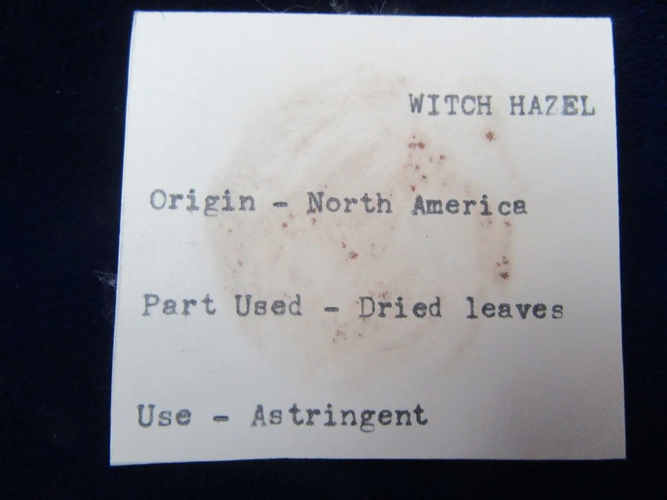ANTIQUE VINTAGE GLASS APOTHECARY BOTTLE DRUG OLD LABEL WITCH HAZEL ...