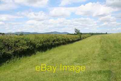 Photo 6x4 Hedgerow by Longdon Marsh Longdon Hill End At the bottom of ...