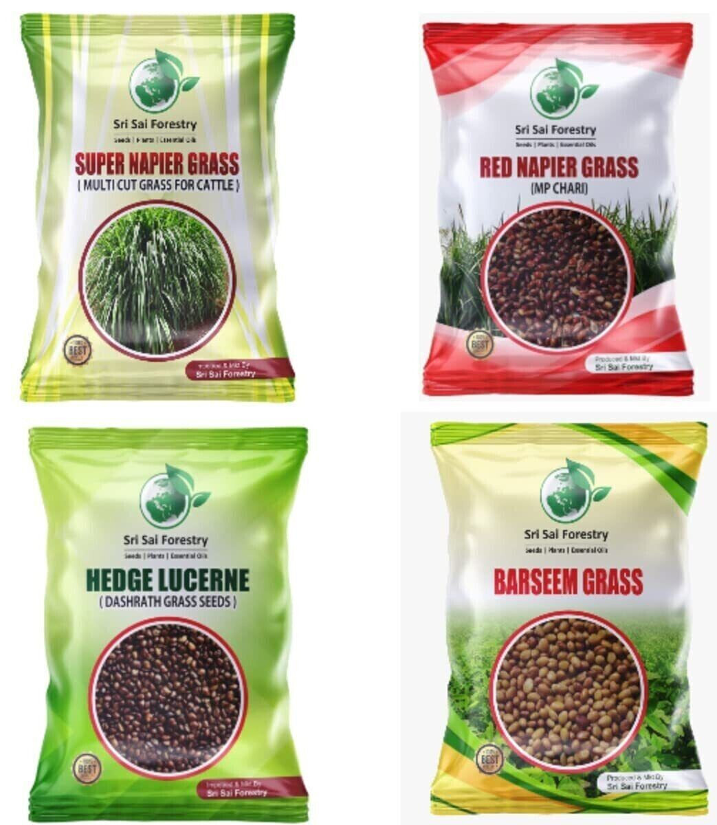 Cattle Fodder Grass Kit -Super Napier+Red Napier+Hedge Lucerne 100 gram ...
