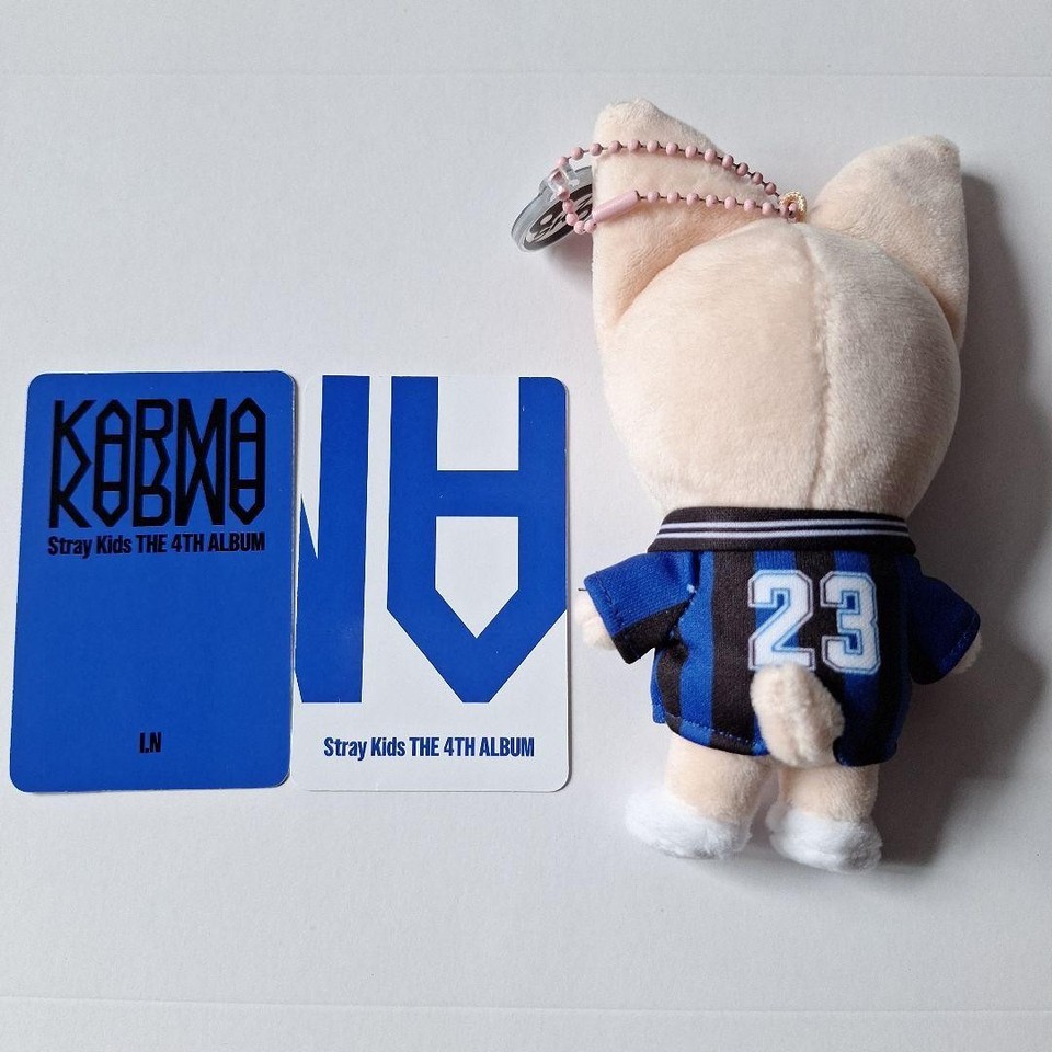 KARMA SKZOO Stray Kids Ayan Keyring Plush Toy Trading Cards Set | eBay