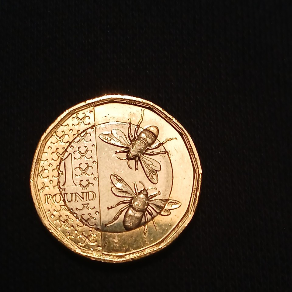 2025 £1 One Pound Coin Bees King Charles | eBay UK