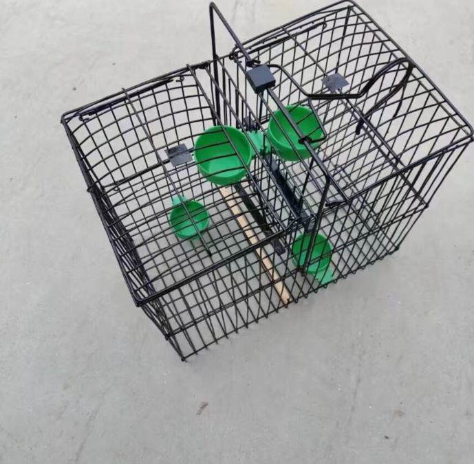 Birdcage Repeating Trap Cage Hunting Escaped bird cage Birds Catch ...