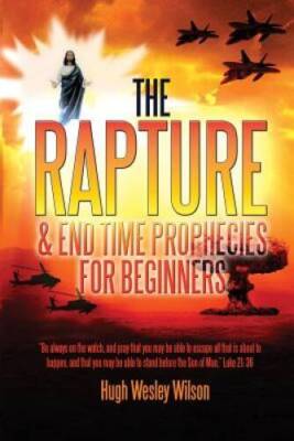 The Rapture the End Times Prophecies For Beginners - Paperback - VERY ...