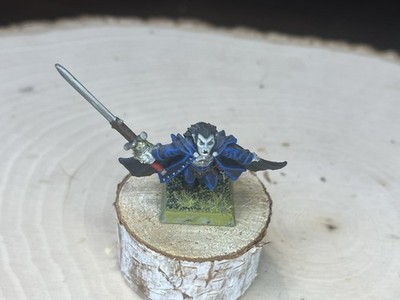 Warhammer Fantasy/Vampire Counts /Painted Vampire Lord /Dungeons ...